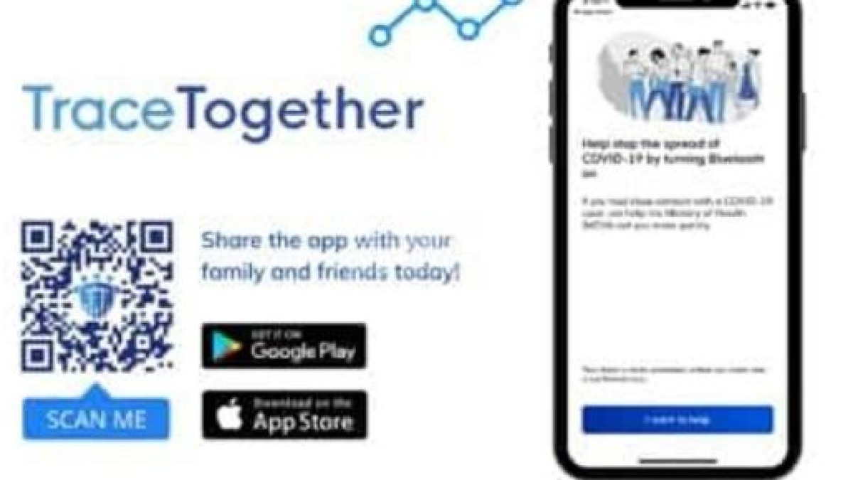 TraceTogether, l'app che avvisa se si sono incontrati pazienti positivi ...