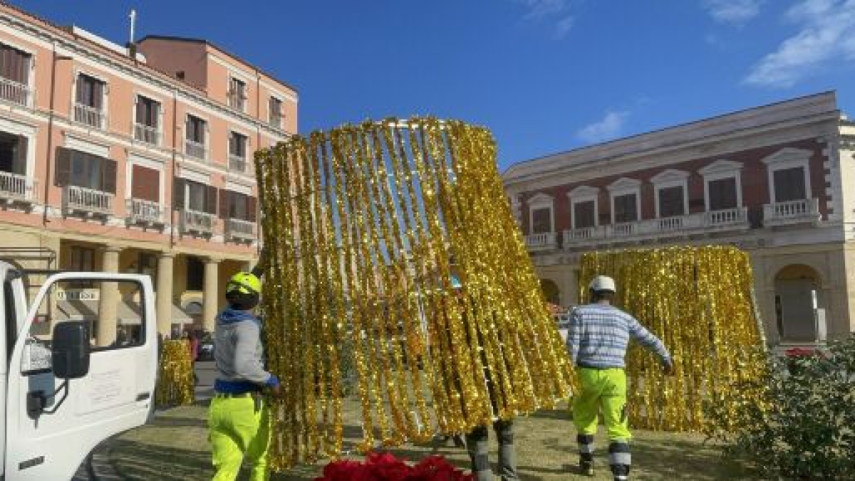 Crotone, è arrivato in Piazza Pitagora l'albero di Natale