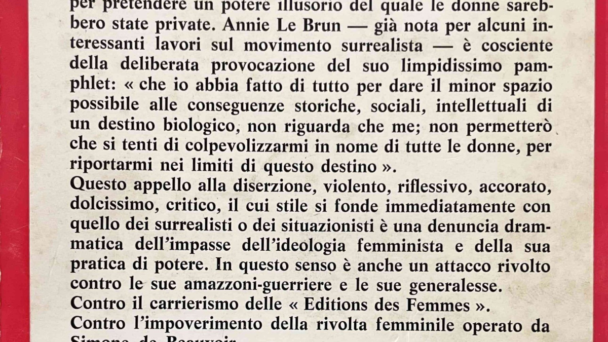 Femminismo sotto attacco: il saggio che ne difende il significato