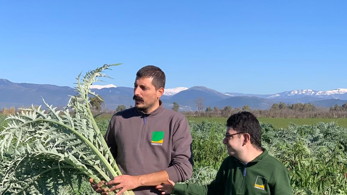 'Terra di Sandokan' rinasce: funghi d'eccellenza e inclusione sociale