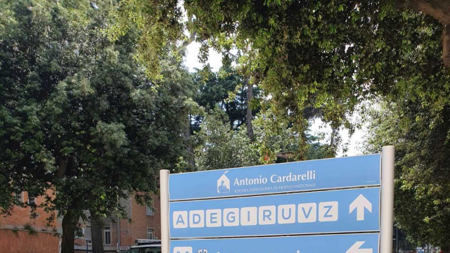 Artrosi, al Cardarelli le nuove sfide per la gestione e la riabilitazione